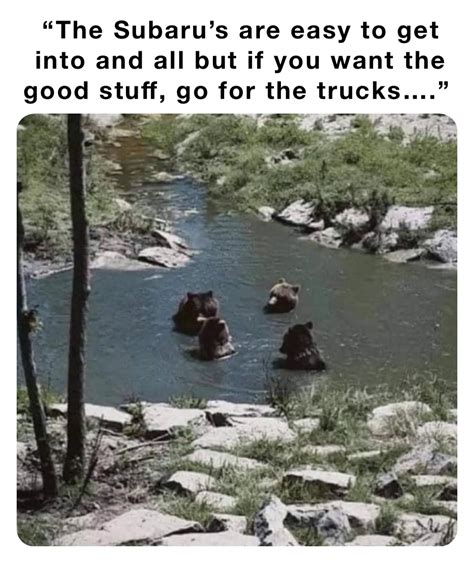 Tinker Bell And Her Cousin Taco Bell Beehards Memes