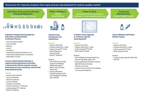 Bioprocessing Workflow Cygnus Technologies