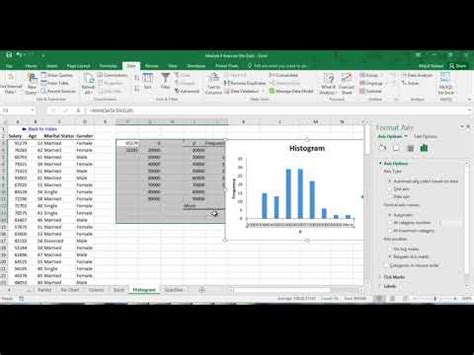 Excel Histogram For Numeric And Categorical Data YouTube