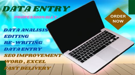i will provide efficient and accurate excel word data entry and data