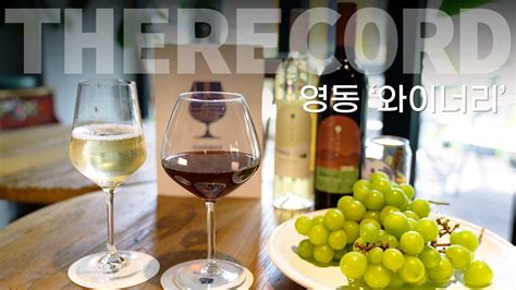 The Record 대한민국 포도왕국 영동 우리의 기술로 만드는 레드와인과 화이트와인 의 깊은 맛 영동 와이너리 Youtube