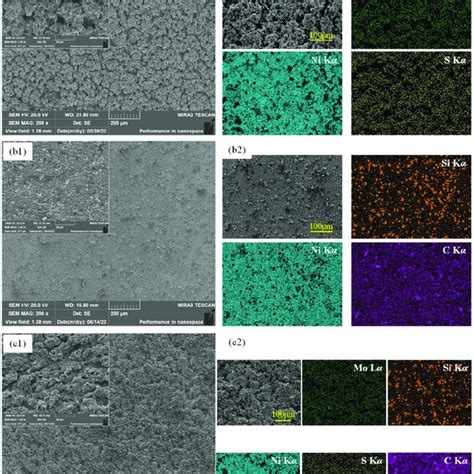 Sem Images And Eds Mappings For Composite Coating Samples A1a2 E1