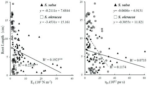 Correlation Of Root Length With E 0 Elastic Modulus Left Panel And η Download Scientific