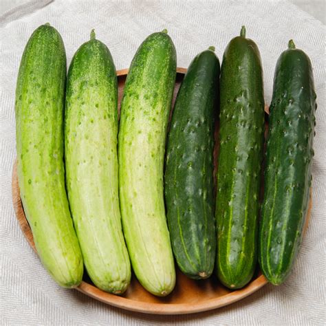 오이 백다다기 백오이 못난이 취청오이 가시오이 1kg 4kg 5kg 8kg 10kg 오아시스마켓믿을 수 있는 먹거리