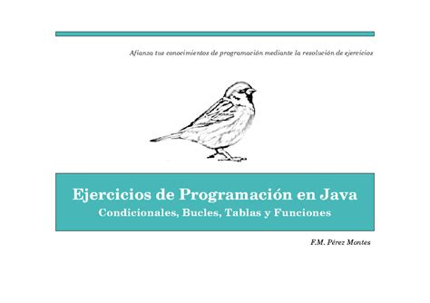 671948272 Ejercicios De Programacion En Java F Pérez Montes