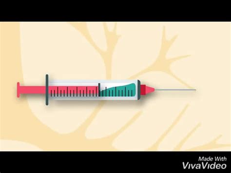 Hossein Ehsanbakhsh On Linkedin A Simple Animation How Mrna Vaccine Works Hossein Ehsanbakhsh On Linkedin A Simple Animation How Mrna Vaccine Works