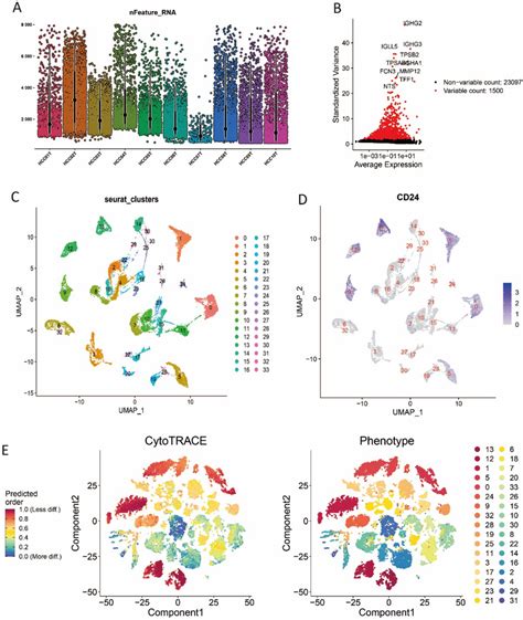 Identification Of Stemness Related Signatures Based On Single Cell Rna