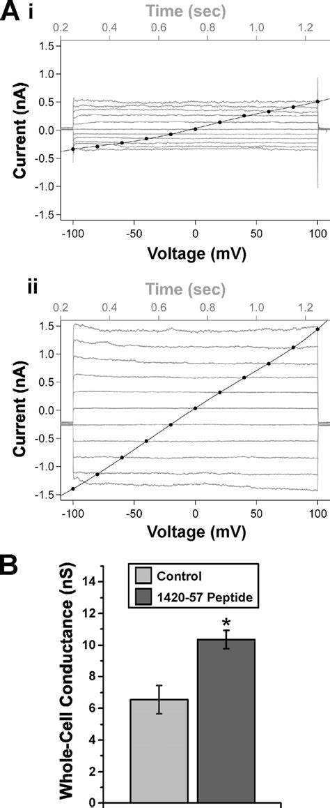 Cftr 1420 57 Blocking Peptide Transduced Into Calu 3 Cells Enhances