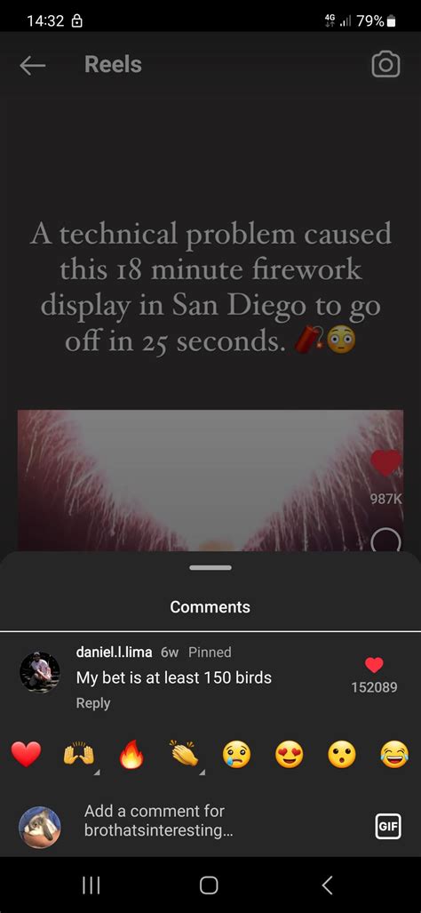 Cursed Ded Birb R Cursedcursedcomments