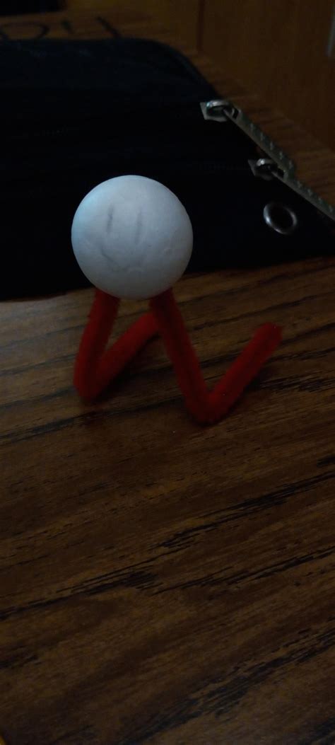 Something I Made In Class Rcapybara