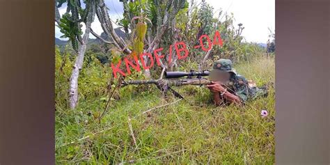 ဒီးမော့ဆိုနှင့်ဖရူဆိုတွင် စနိုက်ပါဖြင့် ပစ်ခတ်ခံရမှုကြောင့် စစ်ကောင