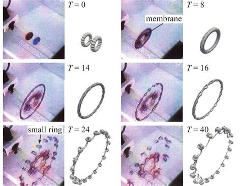 Vortex Structure Analysis Of Vortex Ring Collision Process Based On