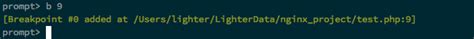 Php Debug Phpdbg