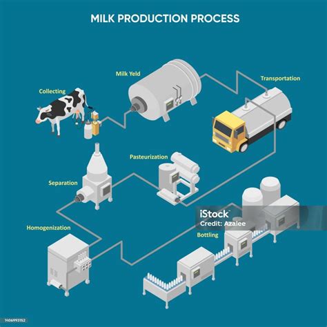 3d Step By Step Illustration For Milk Production Process Design Vector