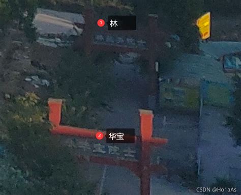 『网络迷踪』ctfshow 网络迷踪（部分） ctfshow 网络迷踪 csdn博客