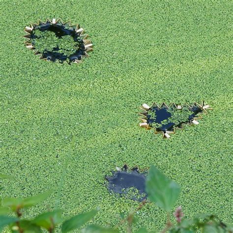 Publications — Morphing Matter Lab