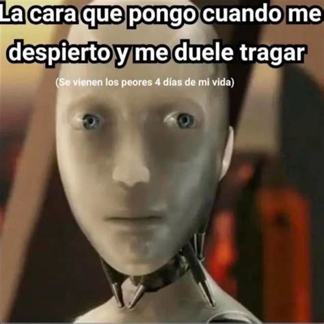 Los Mejores Memes En Español Textos De Humor Audios De Risa Muero