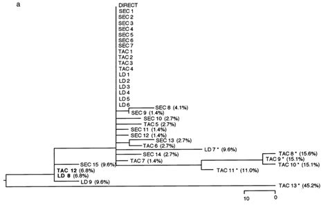 Genomic Sequence Variability Of Hbv Circulating In Carrier Y A