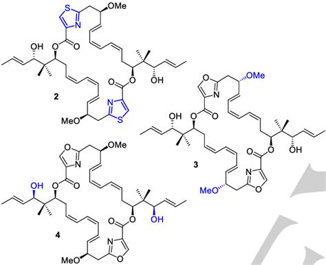 Structures Of New Disorazole C1 Analogs Download Scientific Diagram