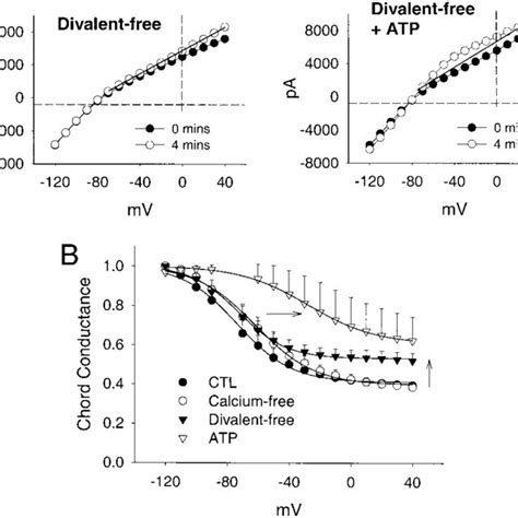 I V Relationship Measured 25 Ms After Onset Of The Command Pulse Under