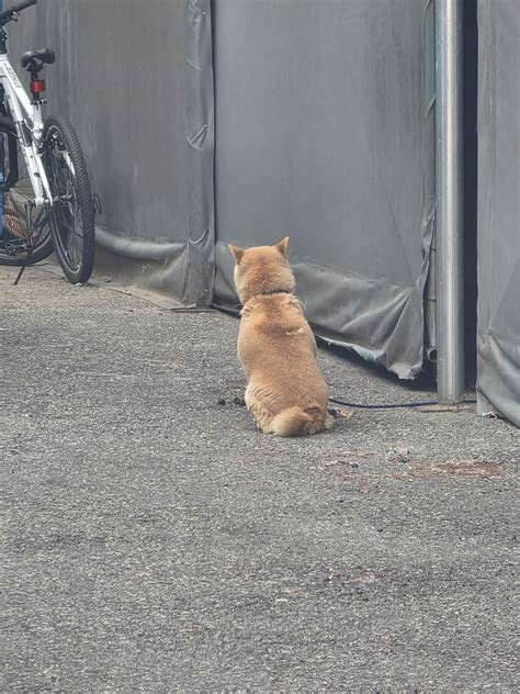 소형 중형 대형차 구분 기준은 뭘까
