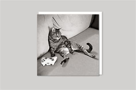 Lazy Day Greeting Card Icon