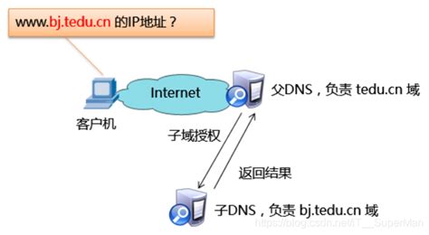 linux 配置dns子域授权 named 子域名配置 csdn博客