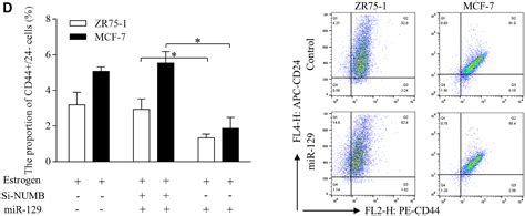 Correction Mir 129 Blocks Estrogen Induction Of Notch Signaling Activity In Breast Cancer Stem