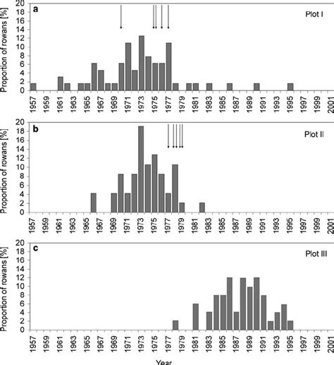 Temporal Relationship Between Canopy Gap Formation And Rowan Download Scientific Diagram