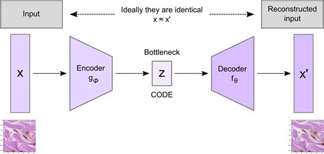 Deep Autoencoders For Unsupervised Anomaly Detection In Wildfire Prediction Üstek 2024