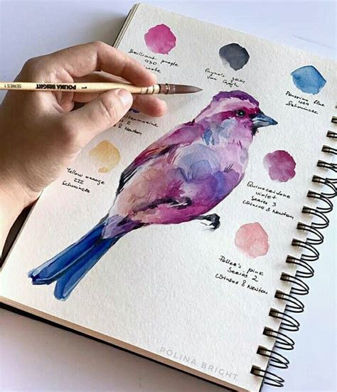 How To Draw A Purple Finch Purple Bird Drawing Bird Watercolor