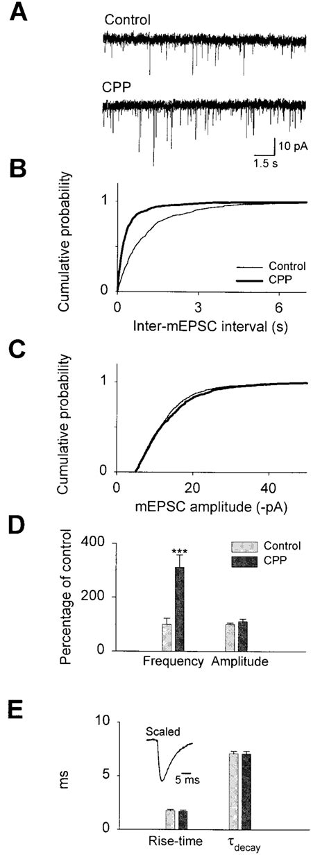 Differential Effect Of Cpp On Mepsc Frequency And Amplitude A Download Scientific Diagram