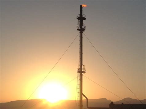 Hoda Mohamed Hodaegy8 Twitter