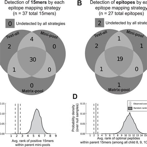 Evaluation Of Epitope Mapping Strategies Epitope Mapping Strategies Download Scientific