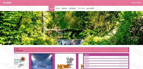 基于springbootvue的论坛系统前后端分离含参考论文开题报告等