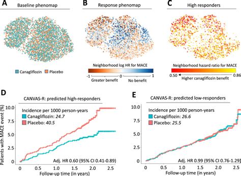Machine Learning In Precision Diabetes Care And Cardiovascular Risk Prediction Pmc
