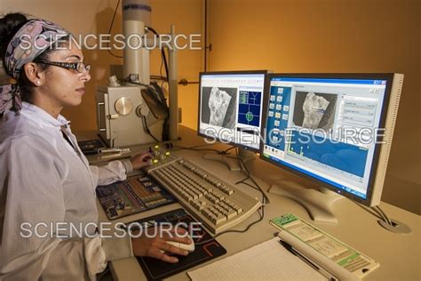Forensic Ballistic Analysis With Sem Stock Image Science Source Images