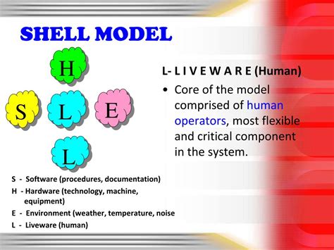 What Is Shell Model At Bob Bormann Blog