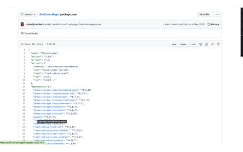 github package json enhancer njlnfkifnhnbhclecinmajfccpenpbol extpose