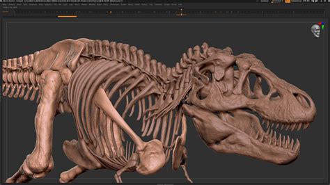 Trix The T Rex A Trip To The Museum The Fossil Forum