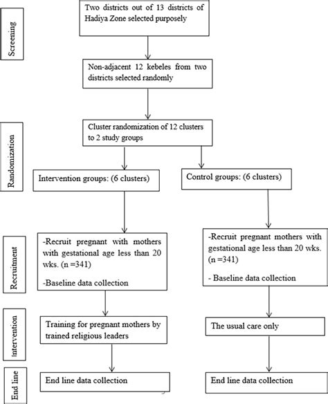 Diagrammatic Representation Of The Randomization Of Study Cluster