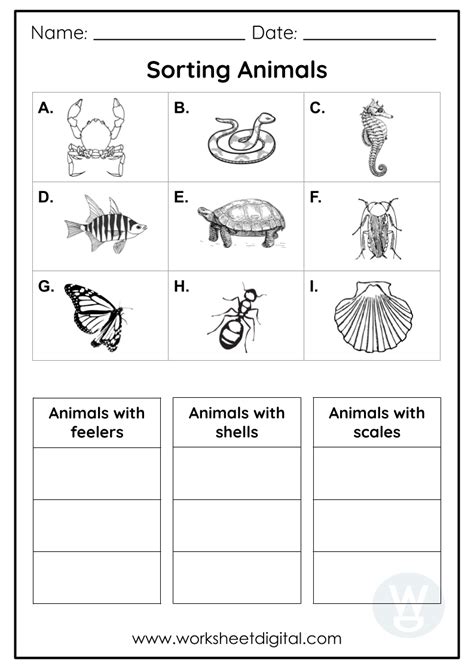 Grade 3 Science Worksheets
