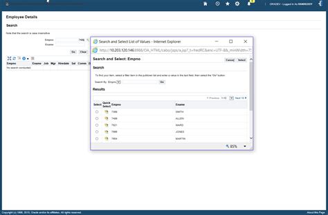 Oracle Application Framework Internal Lov In Oaf