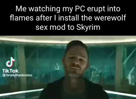 Me Watching My Pc Erupt Into Flames After I Install The Werewolf Sex
