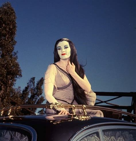 The Munsters Photo Gallery Lily Munster Icon Lily Munster The