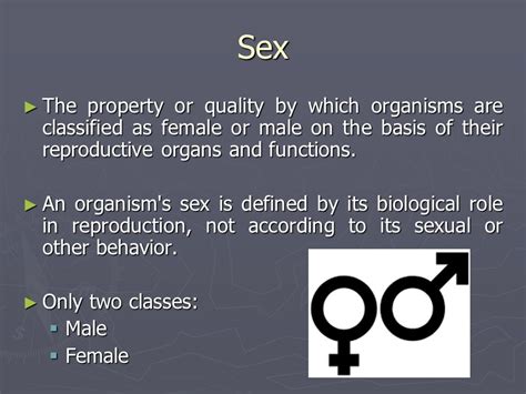 A2 Archaeology AQA Level 3 ARCH 4 Personal Study Ppt Download