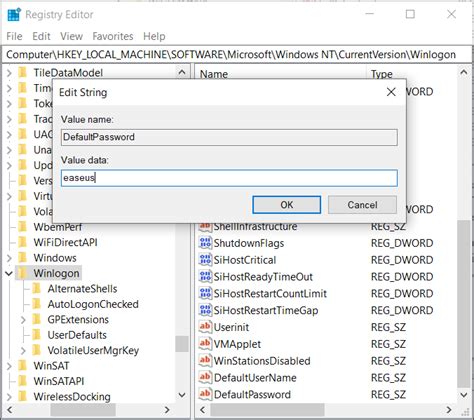 Type Your Windows System Password