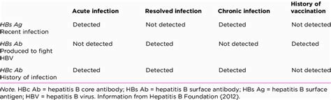 Hepatitis B Markers And Various Stages Of Infection And Vaccination
