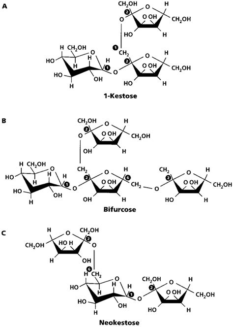 Some Examples Of Structurally Different Fructan Molecules Found In Download Scientific Diagram