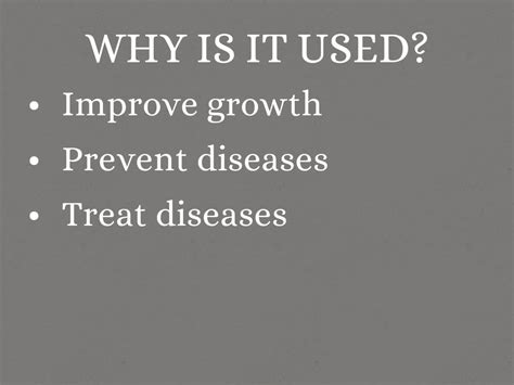 Medicated Feed Additives By Jordyn Allison